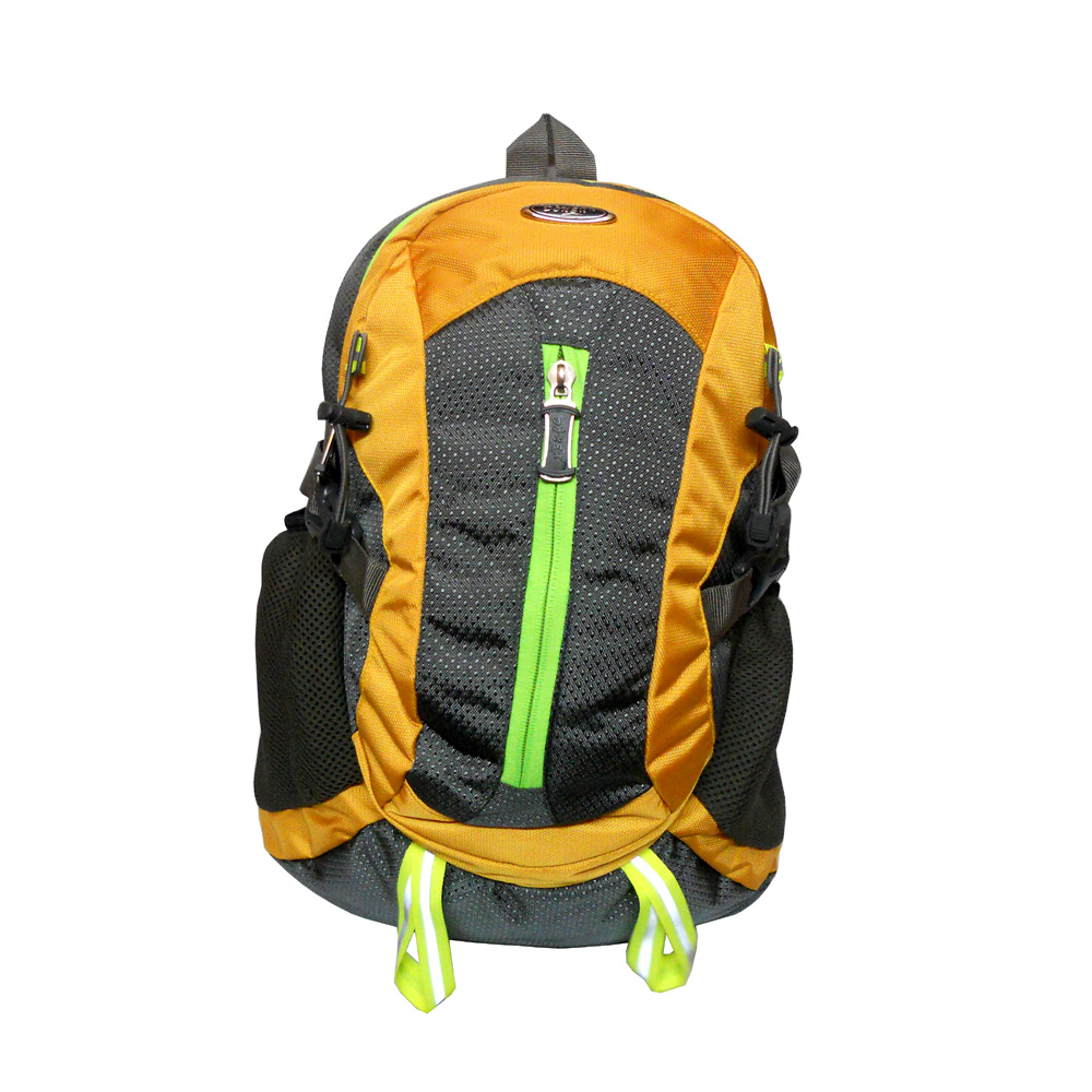Buy Donex Trendy Light Weight 25 L Laptop Backpack Multi RSC00749 ...