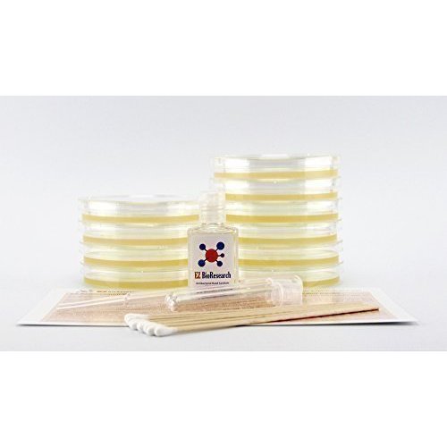 Buy EZ BioResearch Pre-poured Agar Plates and Swabs, 10 plates & 10 ...