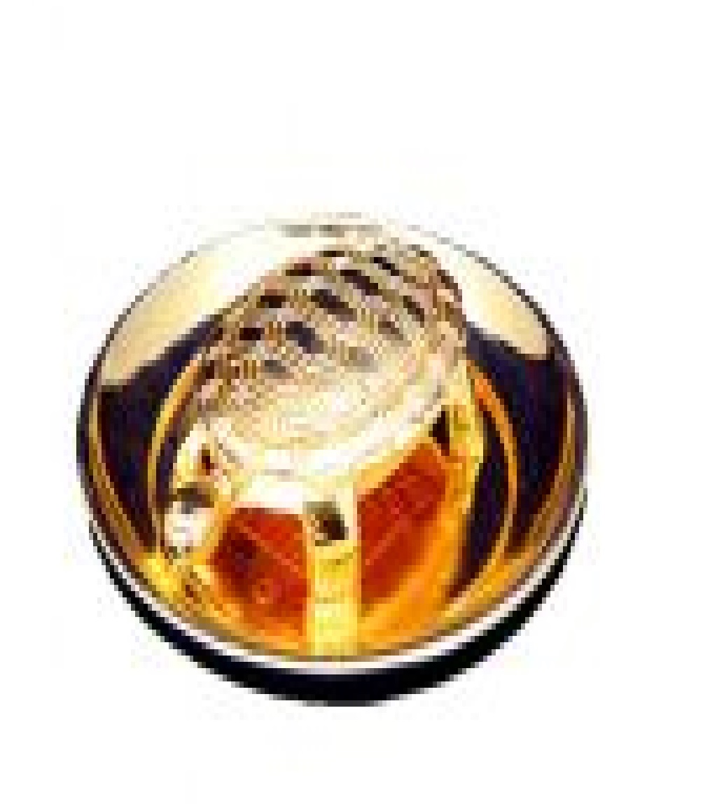 Buy Shubh Wish Turtle With Plate online at best price on Shopclues.com ...