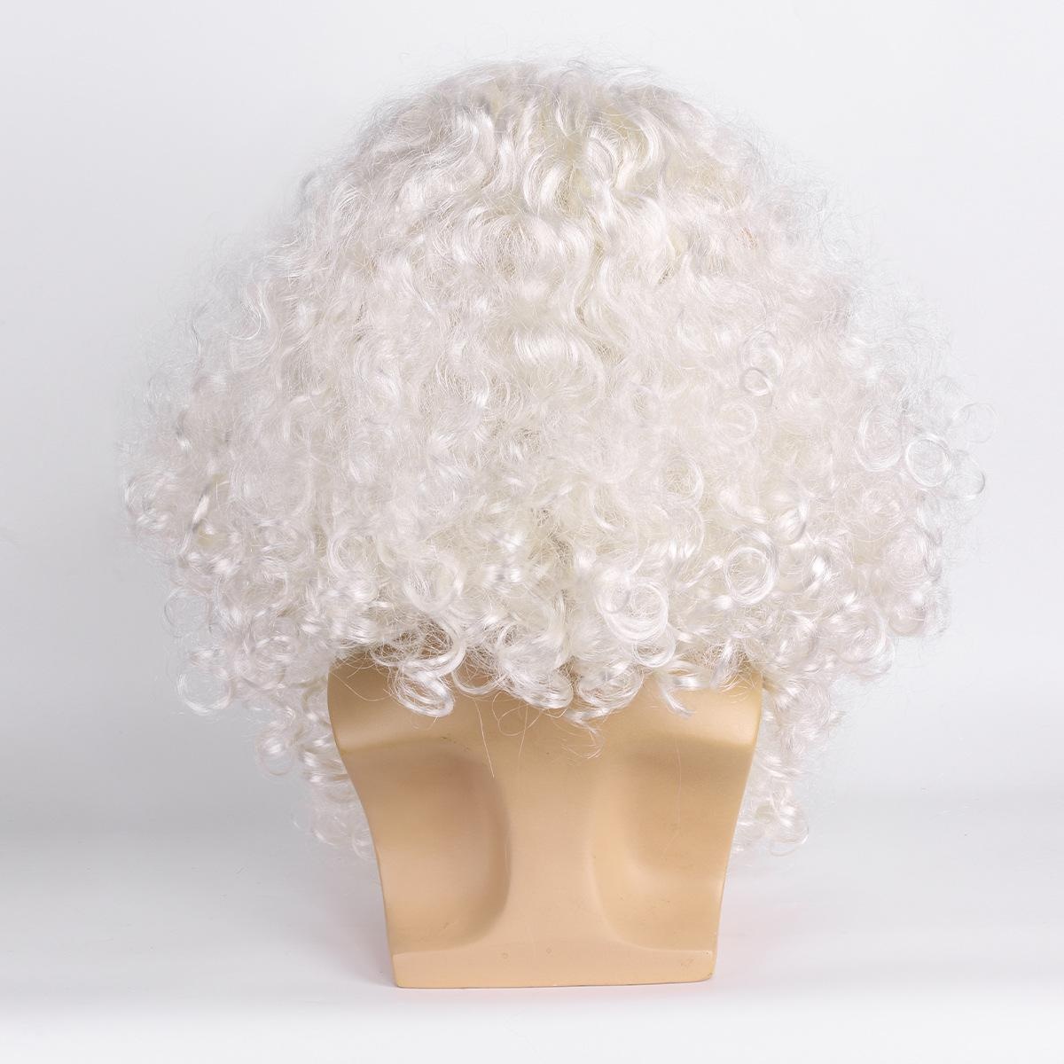 Buy Santa Claus Wig with Beard Set - Long Curly Afro Wig & Realistic ...