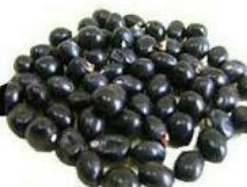 Buy Kala Gunja-Black Abrus seed-Gamanchi-Gaunchi-Rati-Gulaganji (21 ...
