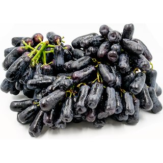 Buy Modern Plants Live Long Black Seedless Grape/Angoor Sweet Fruit ...