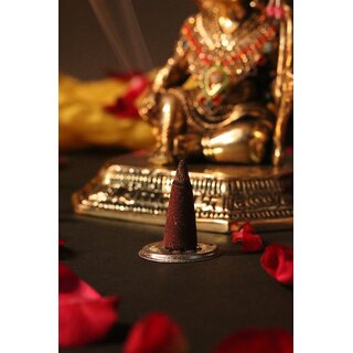 Buy (Pack of 25) AryAyurveda Dhoop Cones-Natural Fragrance Incense ...